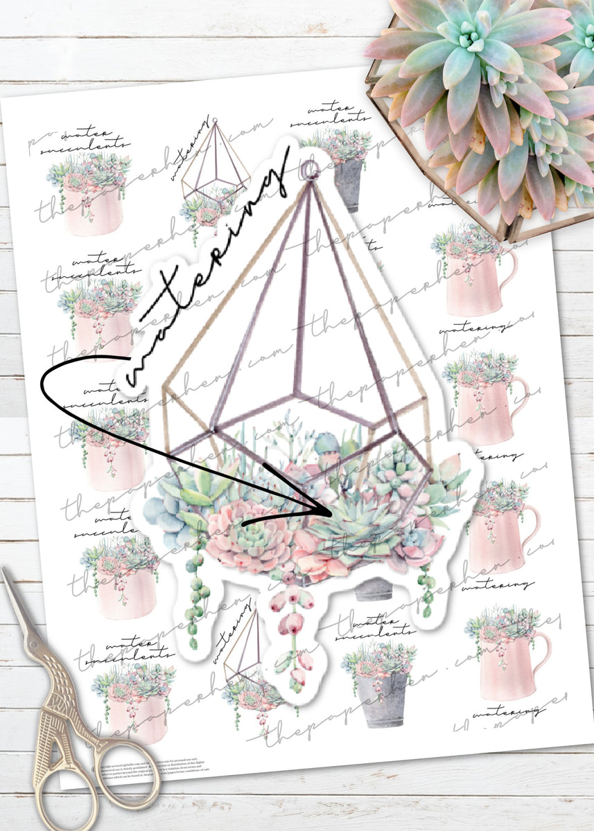 Printable Succulent Plant Watering Planner Stickers or Calendar Remind ...