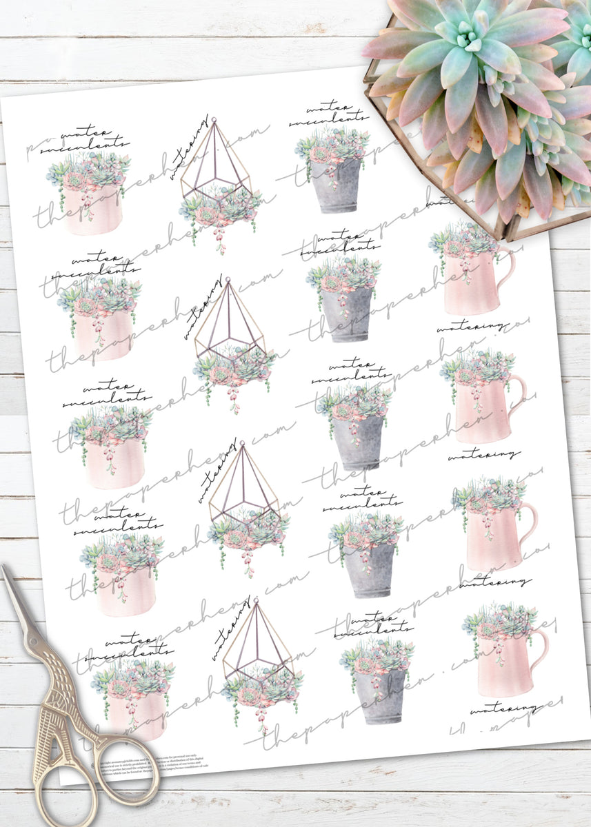 Printable Succulent Plant Watering Planner Stickers or Calendar Remind ...